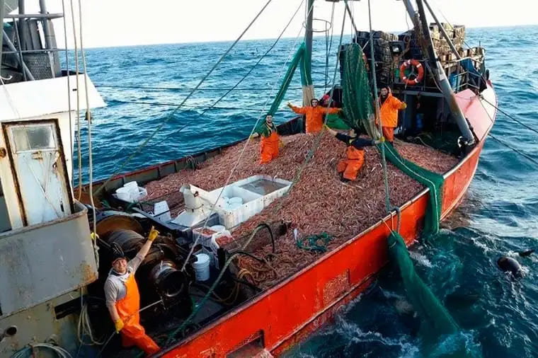 Abren la inscripción para formarse como observadores de a bordo para buques pesqueros ...